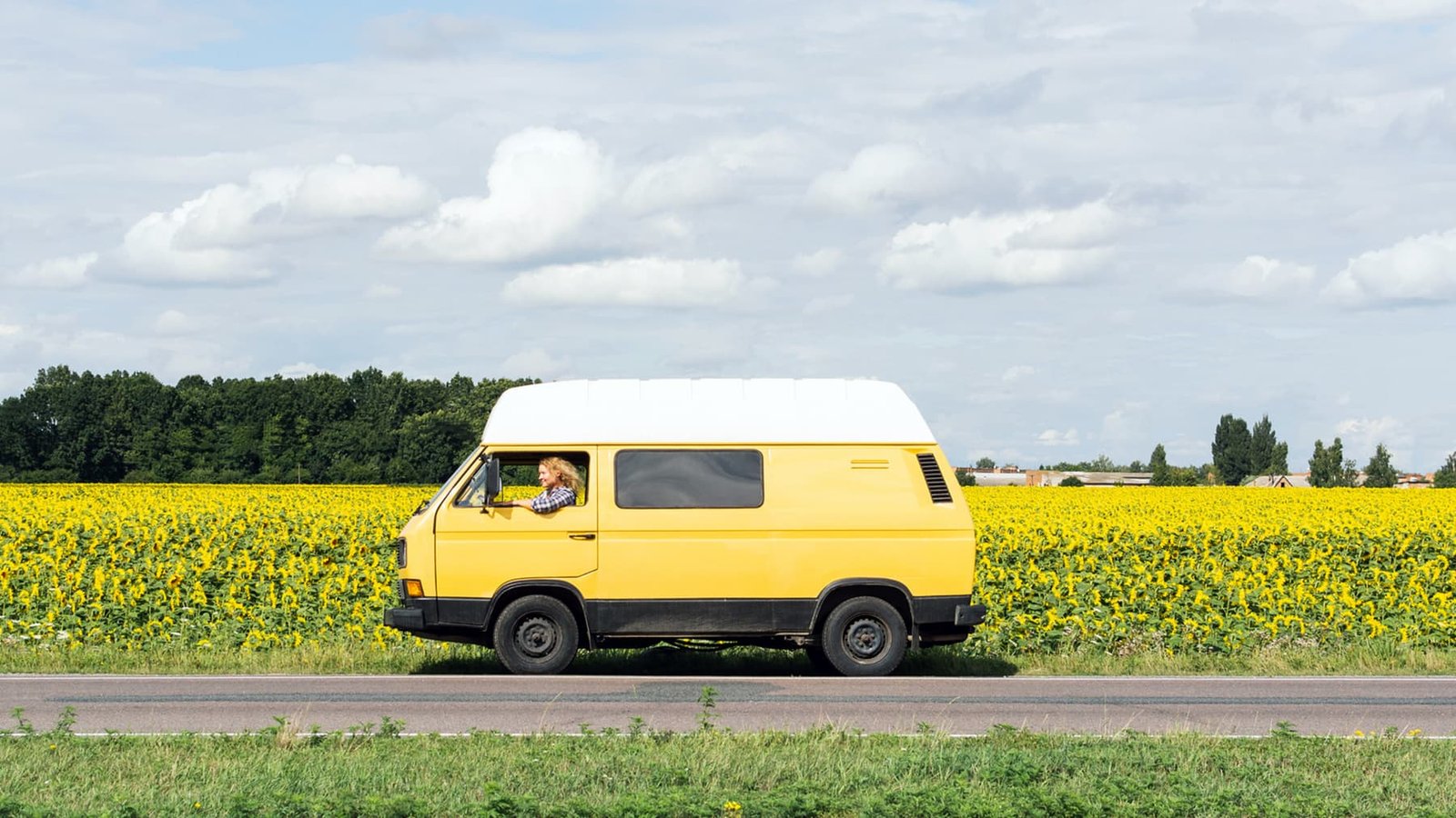 Ending the argument: These are the official rules of Spotto – revRebel