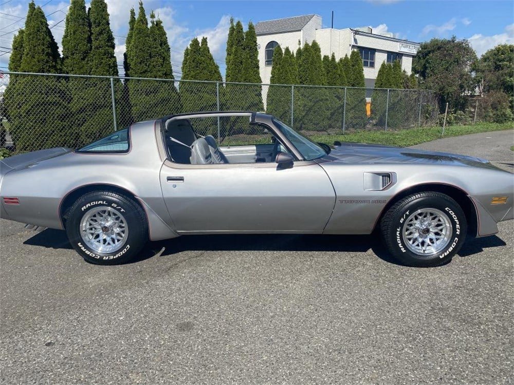 1981 Pontiac Firebird Trans Am – revRebel